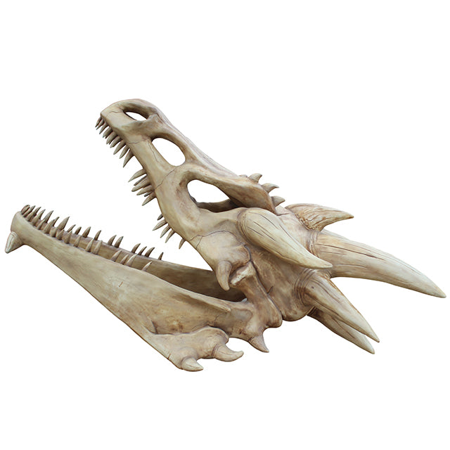 Prehistoric / Fossil Statues – LM Treasures Catalog